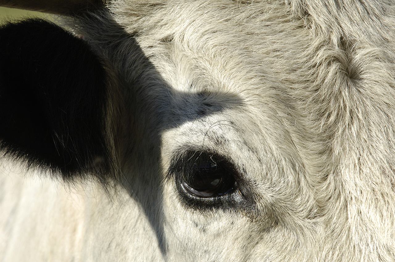 Ausbildung Zootierpfleger (m/w/d) - Arche Warder