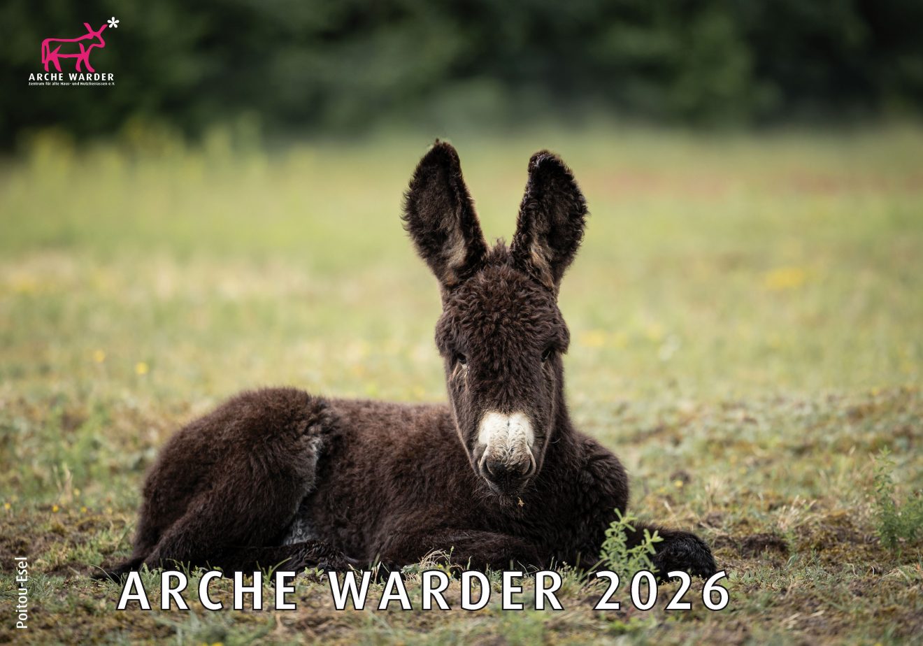 Arche Warder Tierparkkalender 2026 - Arche Warder